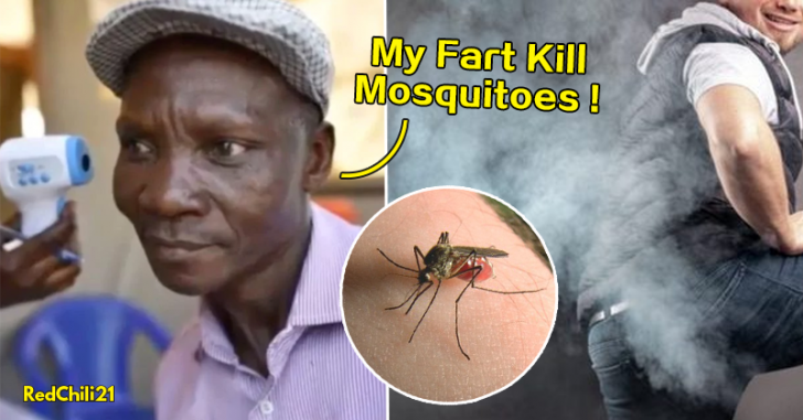 Man Whose Deadly Farts' Kill Mosquitoes Hired By Insect Repellent ...