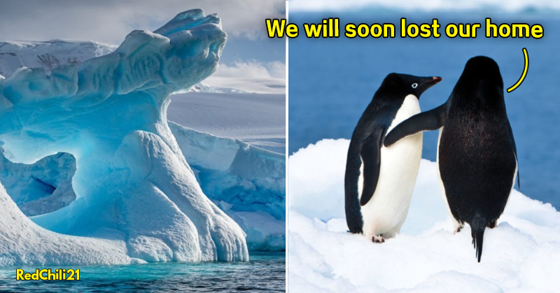 Antarctica Logs Highest Ever Temperature on Record of 18.3C - RedChili21 MY