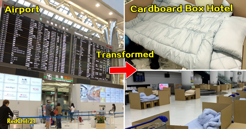 Tokyo’s Airport Becomes Cardboard Box Hotel For Passengers Waiting ...