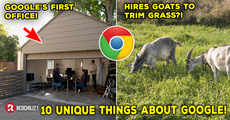 10 Unique Things You Didn't Know About GOOGLE! - RedChili21 MY