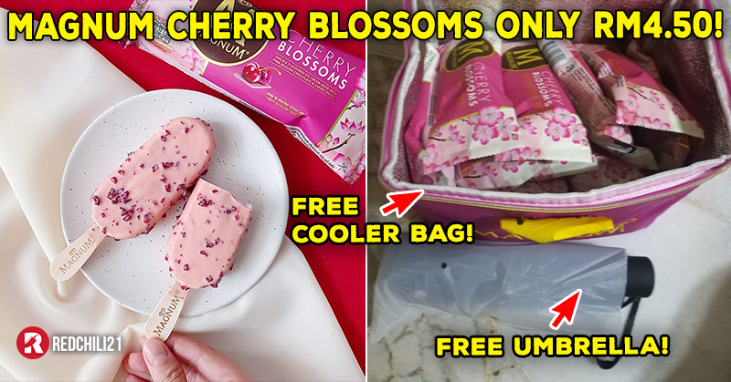 Limited Edition Magnum Cherry Blossom For As Low As RM4.50! - RedChili21 MY