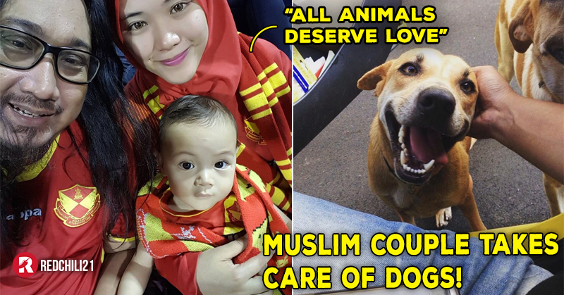 Muslim Couple Takes Care of Dogs Proves that Dogs Deserve Love Too ...