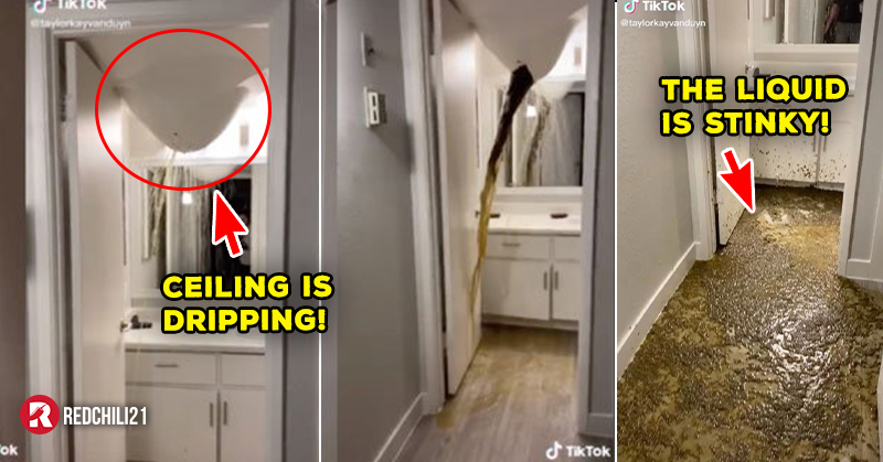 Disgusting Moment: Faeces Breaks The Ceiling and Floods Couple's New ...