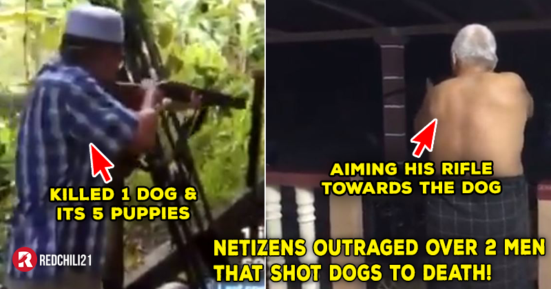 Netizens Outraged Over 2 Cold-Blooded Men That Shot Dogs To Death ...