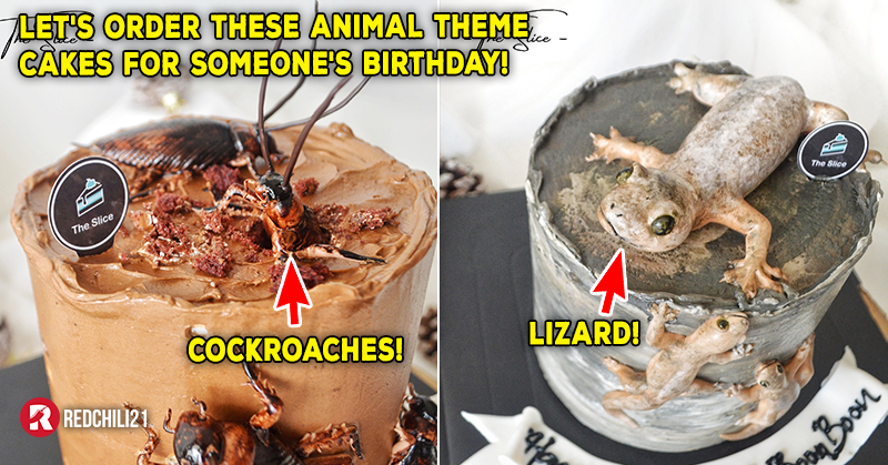 Let's Order These Unique Edible Lizard Cakes For Someone's Birthday ...