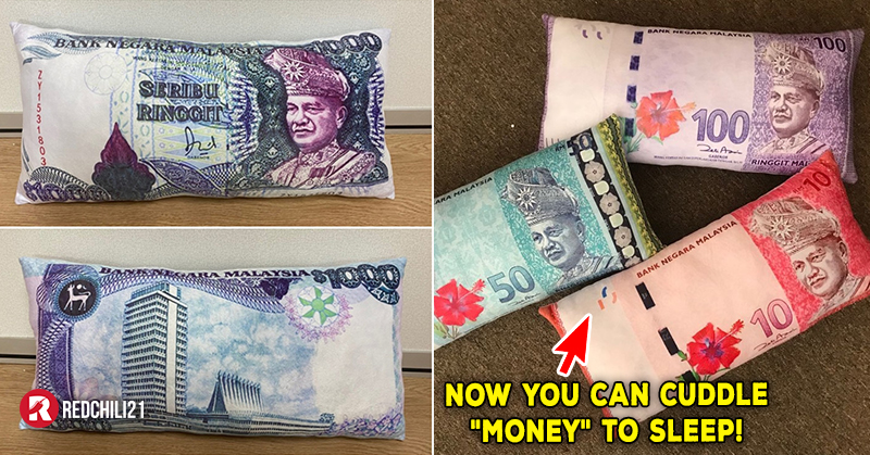 Now You Can Cuddle "Money" to Sleep! Best Ever Present For Your Friend ...