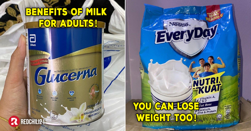 Types Of Milk Powder Every Adult Need For Healthy Body - RedChili21 MY