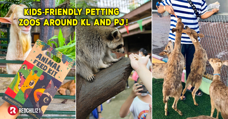 Kids Friendly Petting Zoo To Visit Around KL And PJ With Family ...