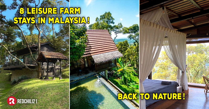 8 Farm Stays To Get Peace Of Mind Around Malaysia - RedChili21 MY